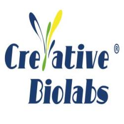 Jobs at Creative Biolabs | Healthcare Careers